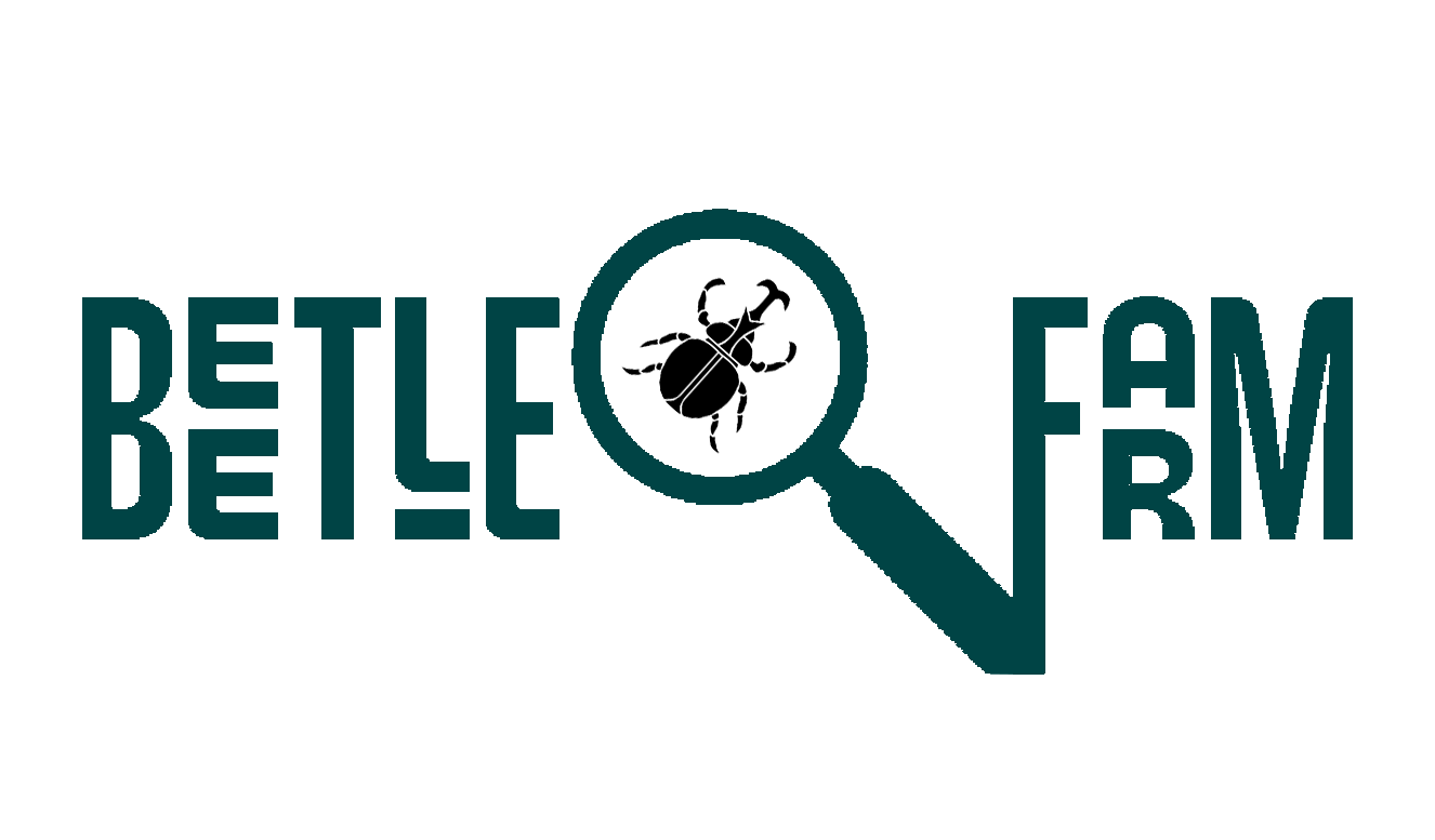 Beetle Farm